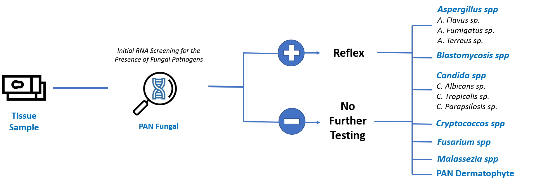 InfectISH - Veterinary Testing – ChampDx
